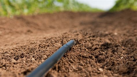 Image result for Subsurface Drip Irrigation System