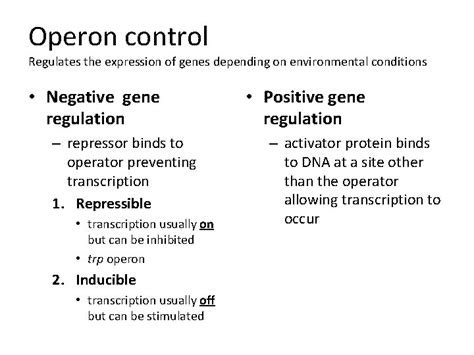 Image result for Gene Expression Promoter Operon