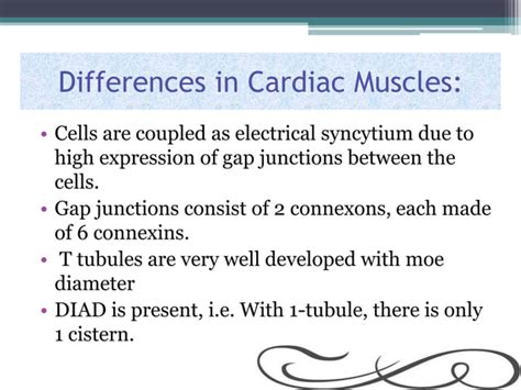 Image result for Flowchart of Excitation Contraction Coupling