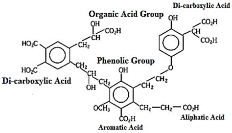 Image result for Humic Acid Structure