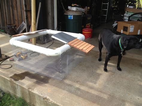 Image result for How to Build a Turtle Trap