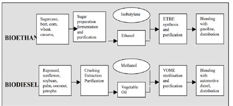 Image result for Biofuel Production Process