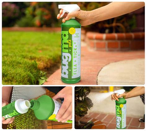 Image result for Bug MD Testimonials