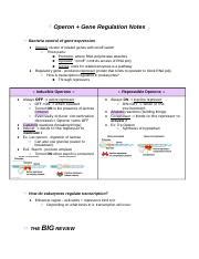 Image result for Operon Theory