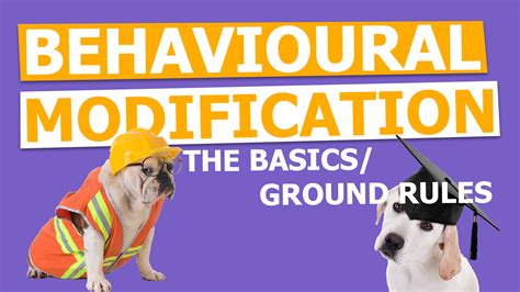 Image result for Behaviour Modifications