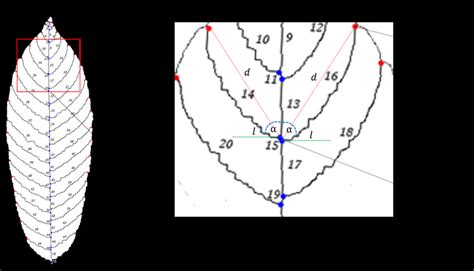 Image result for Feature Extraction Table