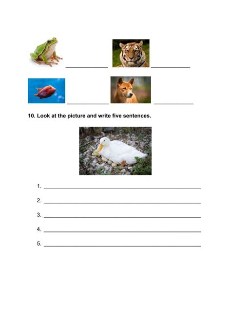 Image result for Reproduction in Animals Science Class 8 Worksheet