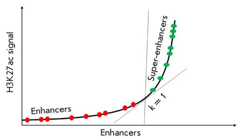 Image result for Super-Enhancer