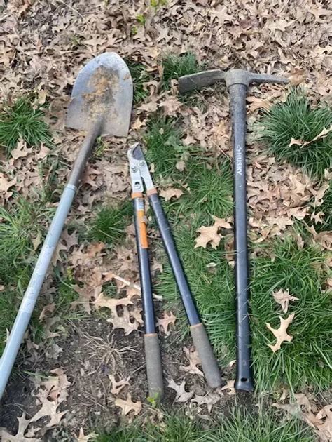 Image result for How to Pull Small Tree Stumps Out