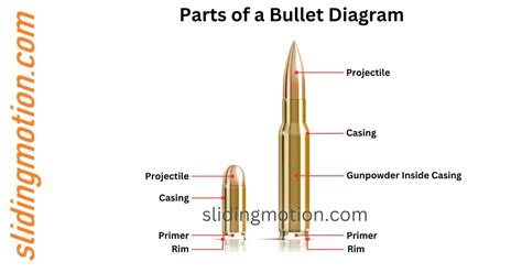 Image result for How Does Bullet Work