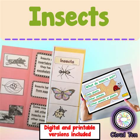 Image result for Insects Lessons