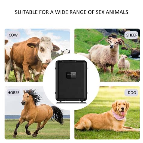 Image result for Animal Tracking Devices