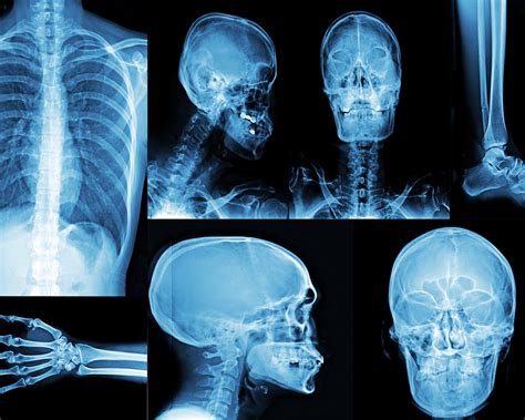 Image result for Biomedical Science Characteristics