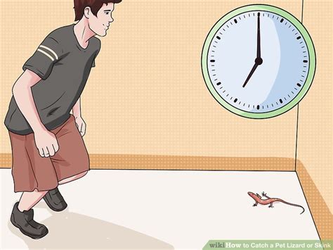Image result for How to Catch a Lizard