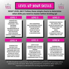 Image result for Level-5 Cheer