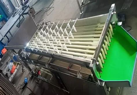 Image result for Vegetable Grading Machine Simple Design