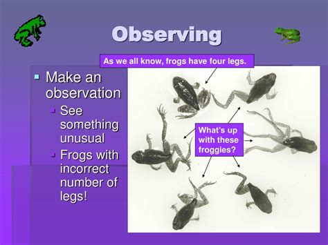 Image result for Scientific Method Definition