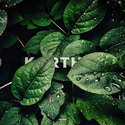 Image result for Creative Works