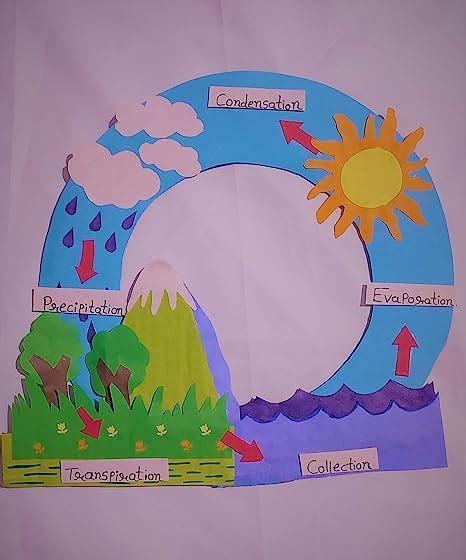 Image result for Water Cycle Model