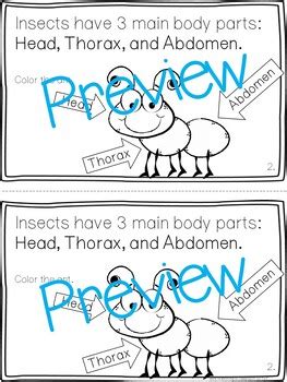 Image result for Insects Book Audio