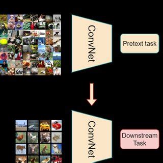 Image result for Self-Learning Algorithm