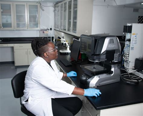 Image result for UMGC Computer Science Capstone