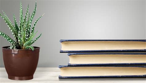 Image result for Study Stack