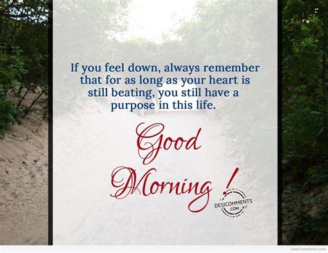 Image result for Morning Memory