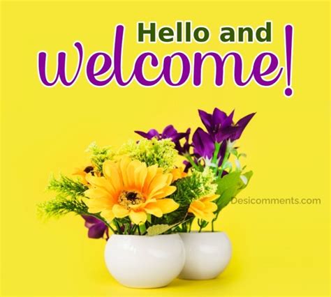 Image result for Hello Welcome Inteface