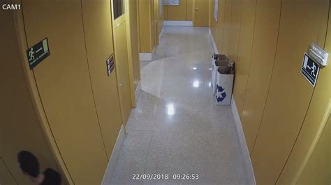 Image result for Crime Activity Detection Using Camera Code Using Python