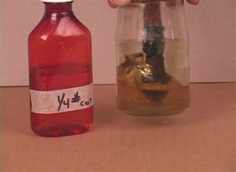 Image result for Mixing Shellac