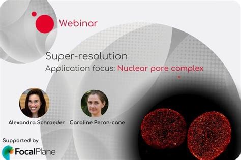 Image result for Nuclear Pore Complex Super Resolution