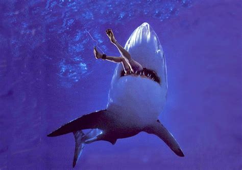 Image result for Alien Shark Attack