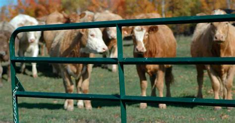 Image result for Installing 12Ft Farm Gate