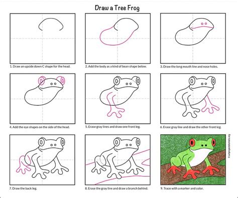 Image result for How to Draw a Tree Frog