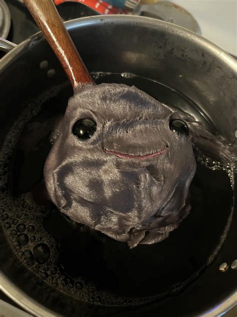 Image result for Alien Bear