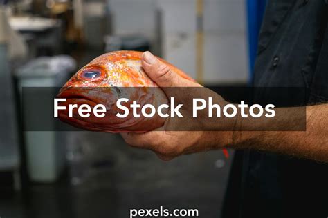 Image result for Head Chef Cooking