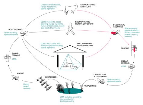 Image result for Vector Control