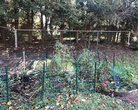 Image result for Backyard Composting DIY