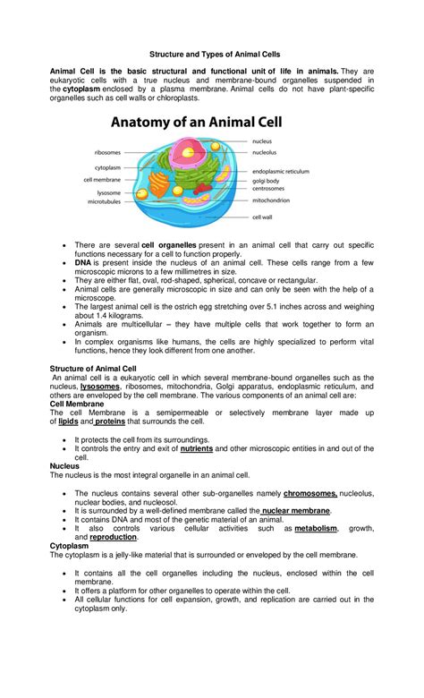 Image result for Cell Structure Revision Notes