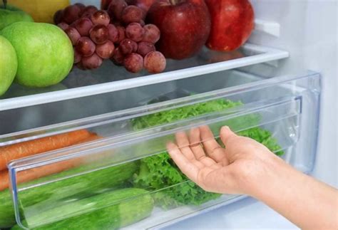 Image result for Humidity Control Fridge