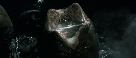 Image result for Alien Predator Egg