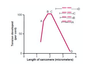 Image result for Isotonic Isometric Contraction