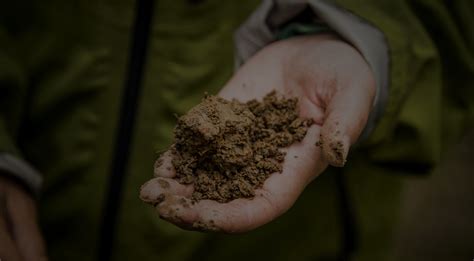 Image result for Core Sampler in Soil Sampling