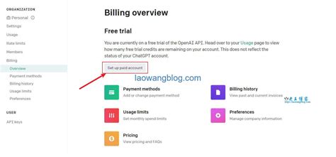 Image result for API Key with Chatgpt Plus Openai