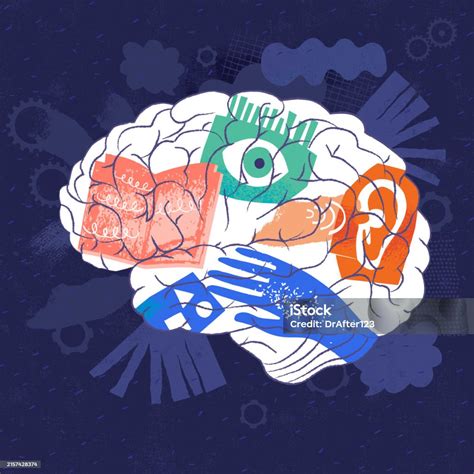 Image result for Learning Brain Picture