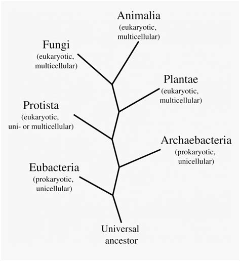 Image result for Life Classification