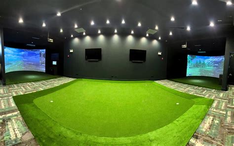 Image result for Golf Simulator Ceiling