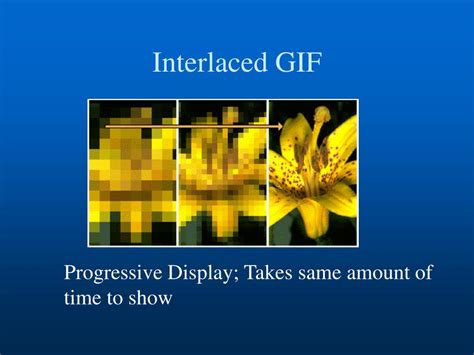 Image result for Principles of User Interface Design