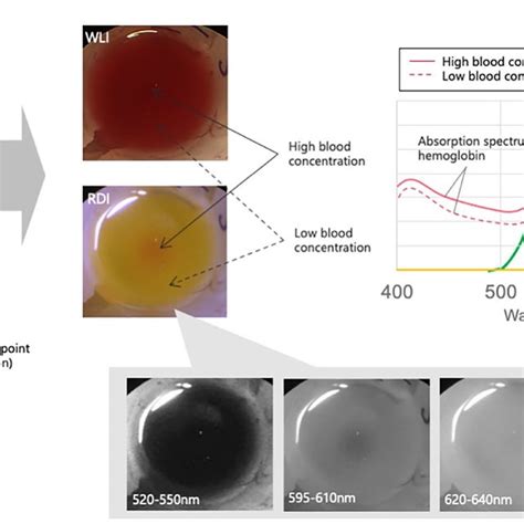 Image result for RDI Camera